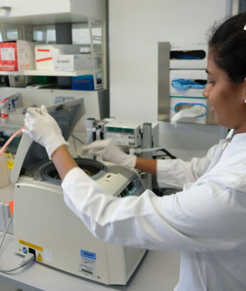 EURIdoc – Eucor Upper Rhine Immunology doctoral programme | Eucor FR